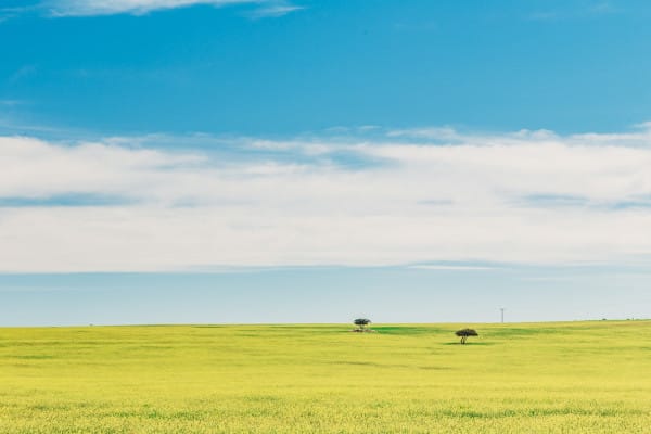 Guide to Driving the Garden Route - Bold Travel