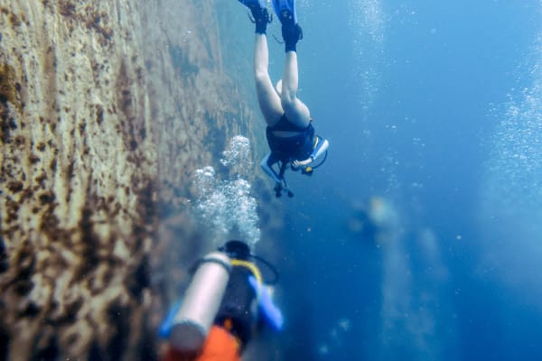 Tales of the Odd & the Ugly While Diving Barracuda Lake - Bold Travel