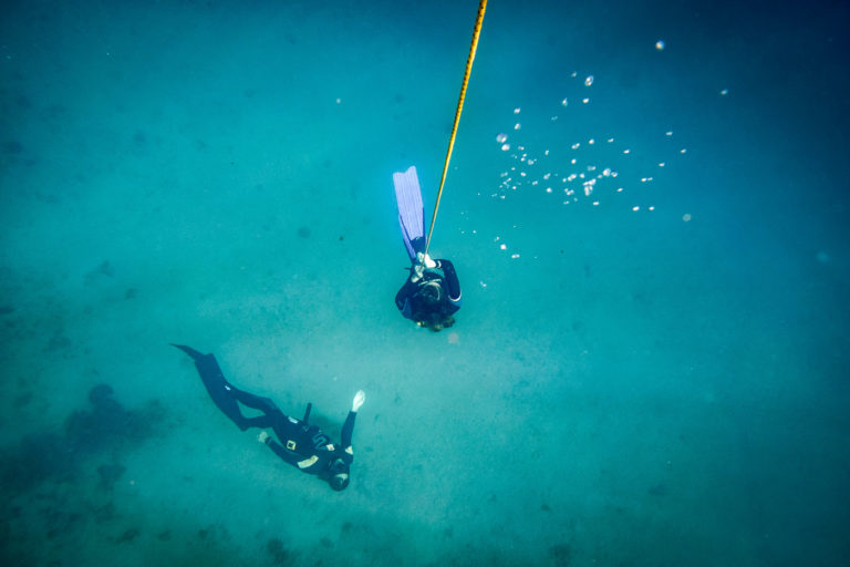 Is Freediving in The Philippines Worth It? - Bold Travel