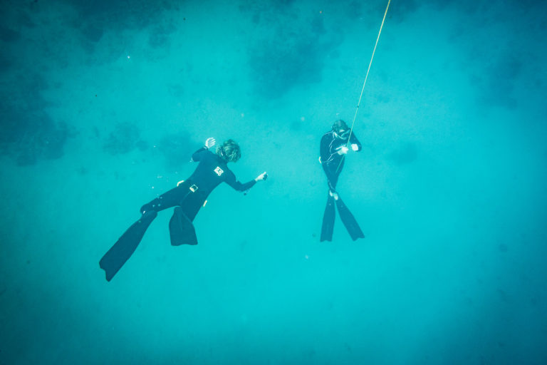 Is Freediving in The Philippines Worth It? - Bold Travel