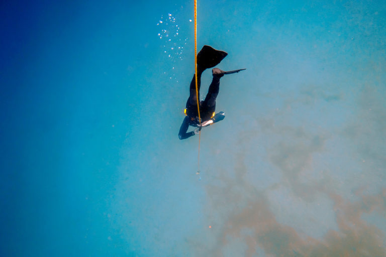 Is Freediving in The Philippines Worth It? - Bold Travel